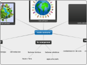 medio ambiente - Mind Map